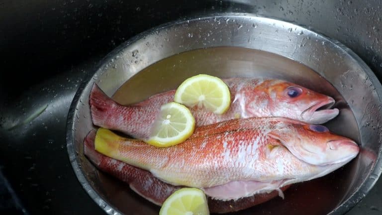 Tasty Oven Baked Red Snapper - Cooking With Claudy