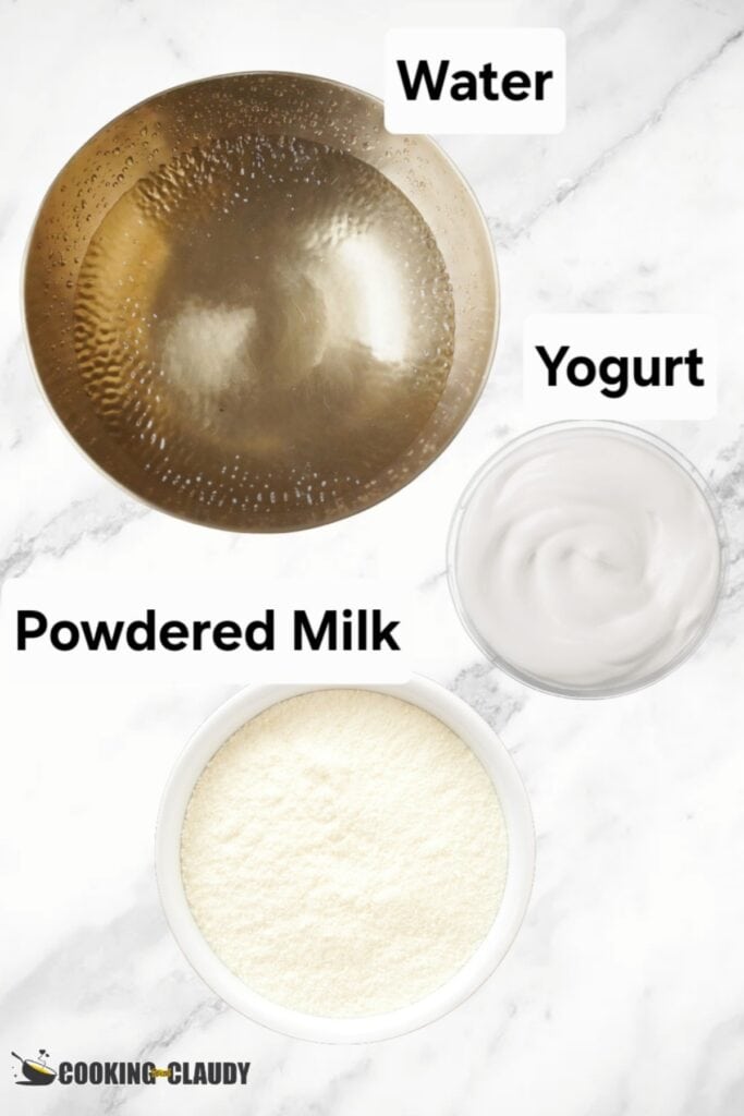Homemade Yogurt with Powdered Milk - Cooking With Claudy